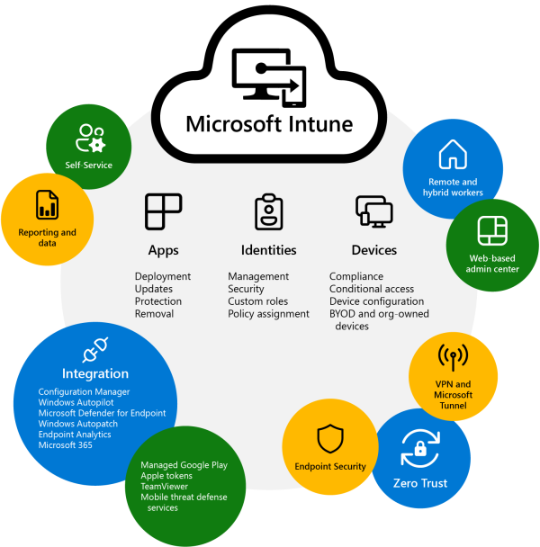 Lập kế hoạch triển khai Microsoft 365 Apps cho doanh nghiệp - Microsoft ...