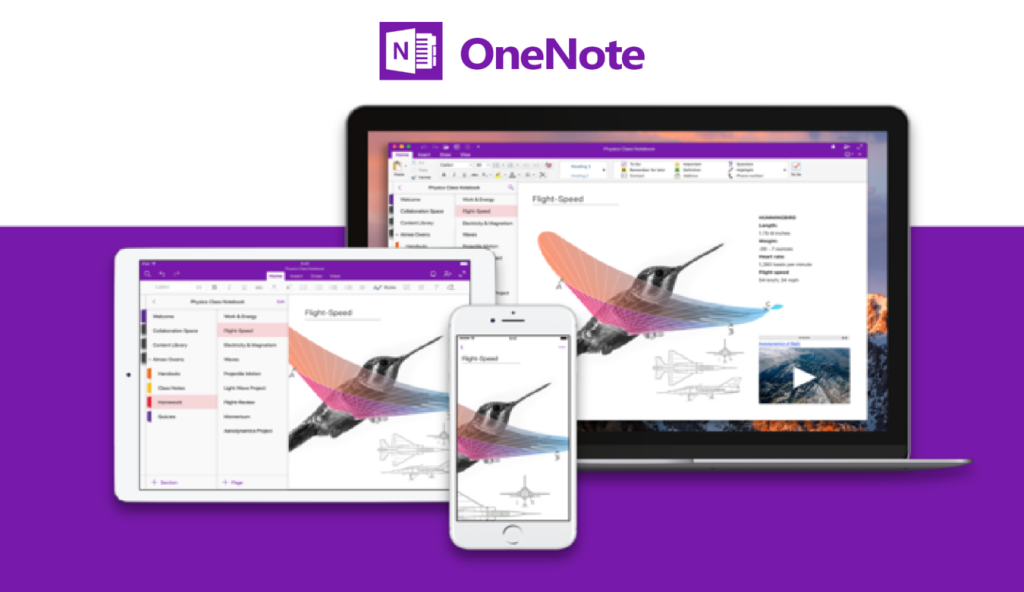 Microsoft Onenote là gì? Mọi thứ liên quan đến Microsoft Onenote ...